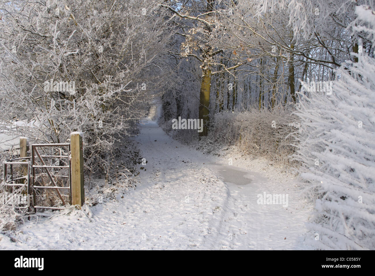 Gate and footpath hi-res stock photography and images - Alamy