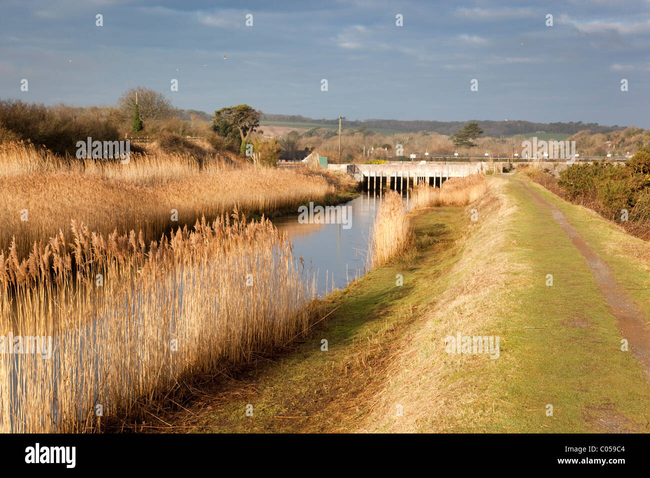 River hayle hi-res stock photography and images - Alamy