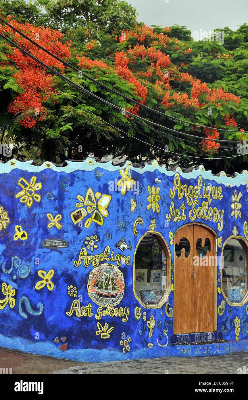 Equator flowers hi-res stock photography and images - Alamy