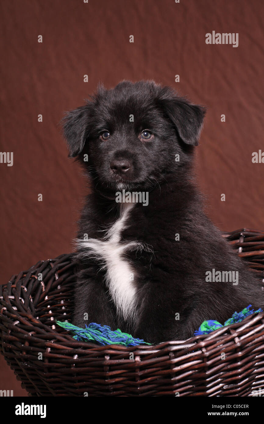 W waller hi-res stock photography and images - Alamy