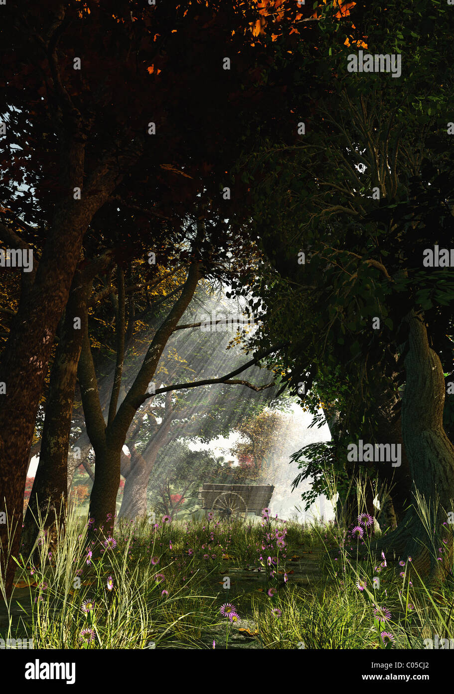Sunlit forest clearing hi-res stock photography and images - Alamy