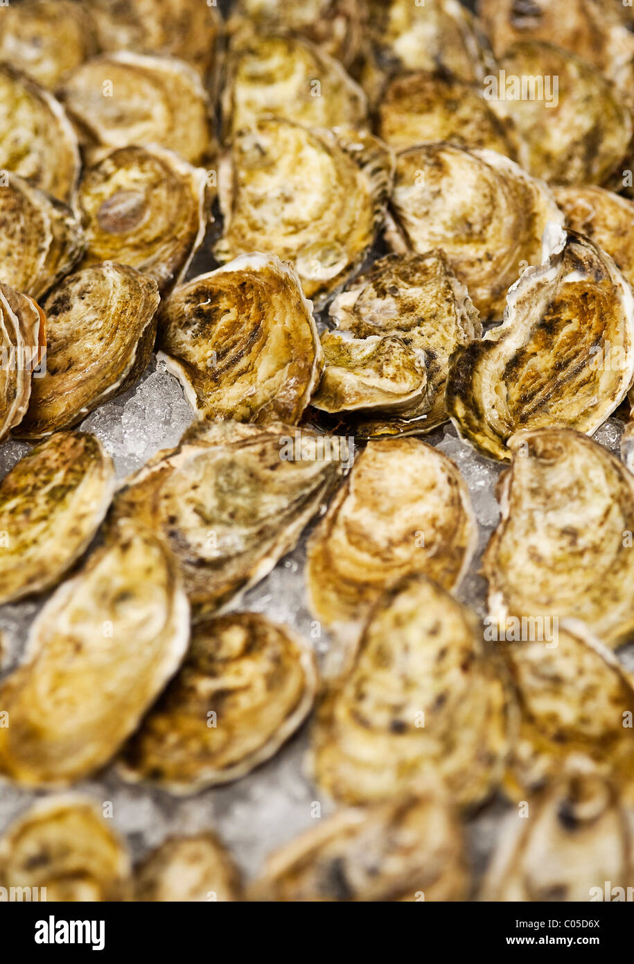Oysters hi-res stock photography and images - Alamy