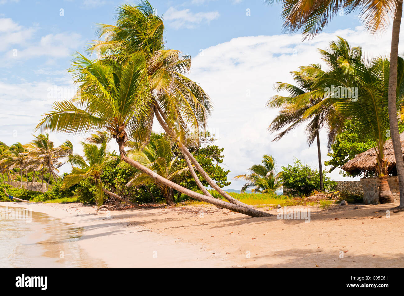 Grenadines beach hi-res stock photography and images - Alamy