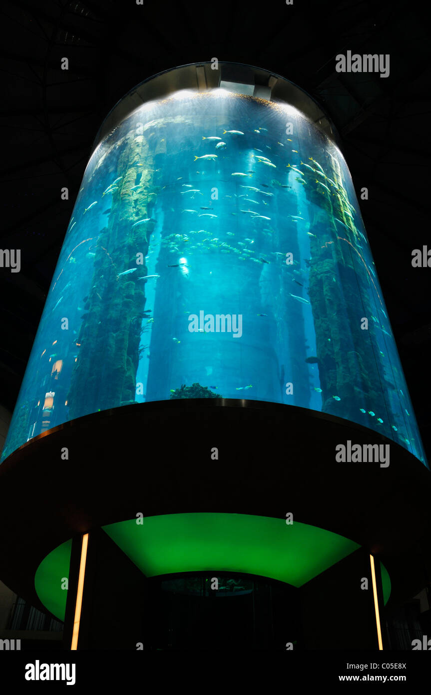 Fish aquarium at 5 stars Radisson SAS Hotel Berlin, the world's largest ...