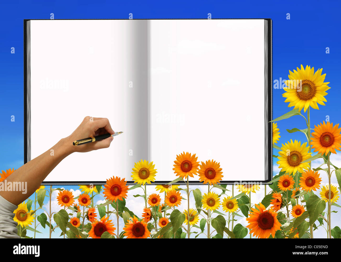 Notebook with sunflowers and the sky bright Stock Photo - Alamy