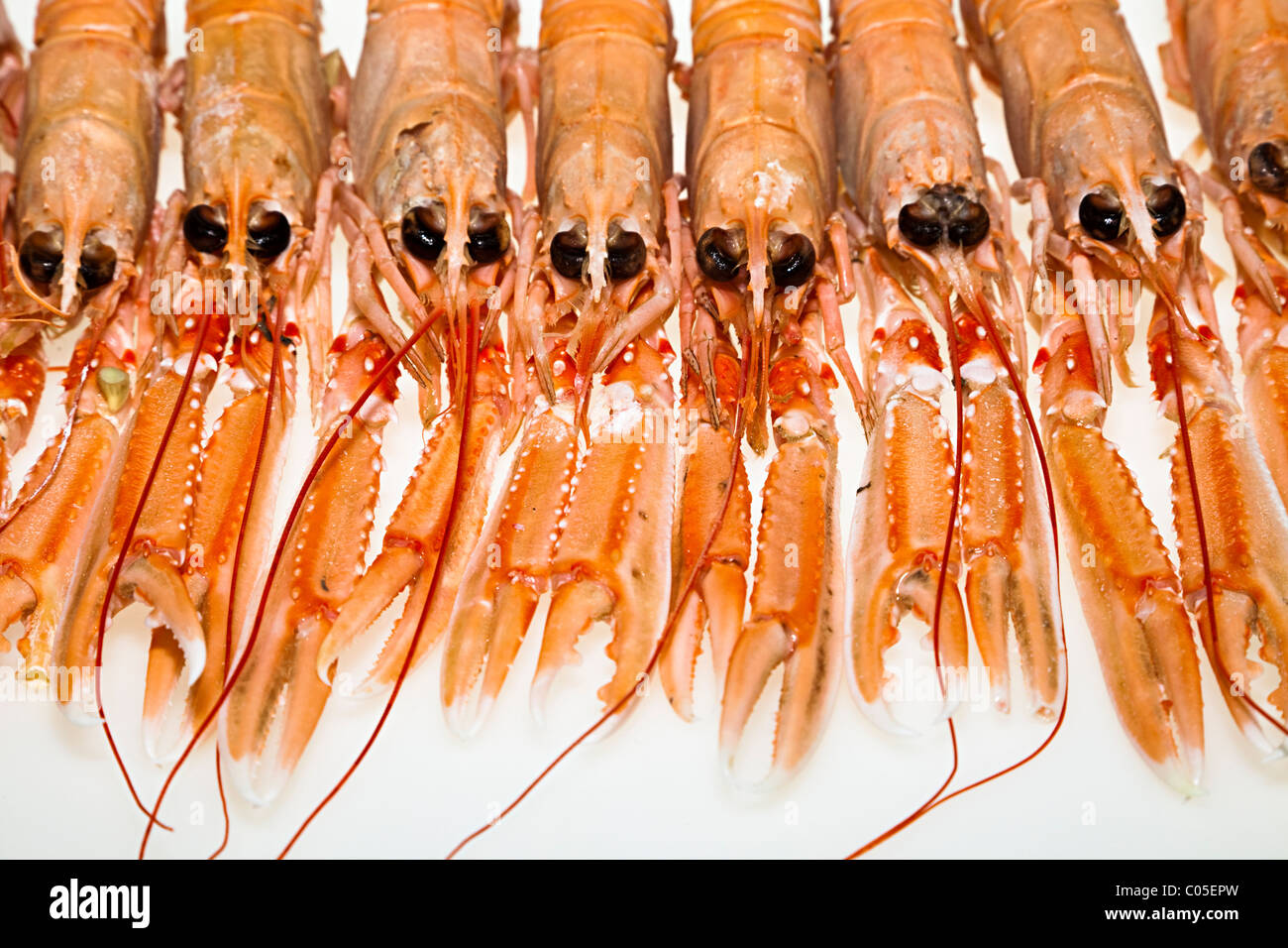 Langoustines hi-res stock photography and images - Alamy