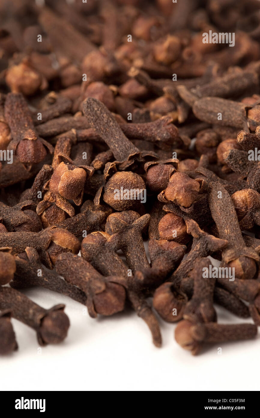 a close up from clove on a white background Stock Photo - Alamy