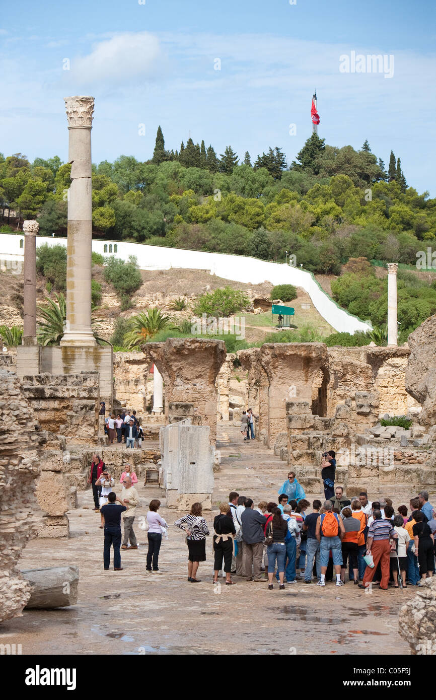 Carthage tunis tunisia hi-res stock photography and images - Alamy