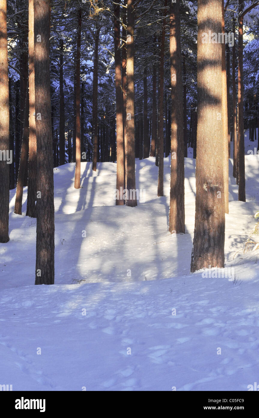 Culbin hi-res stock photography and images - Alamy