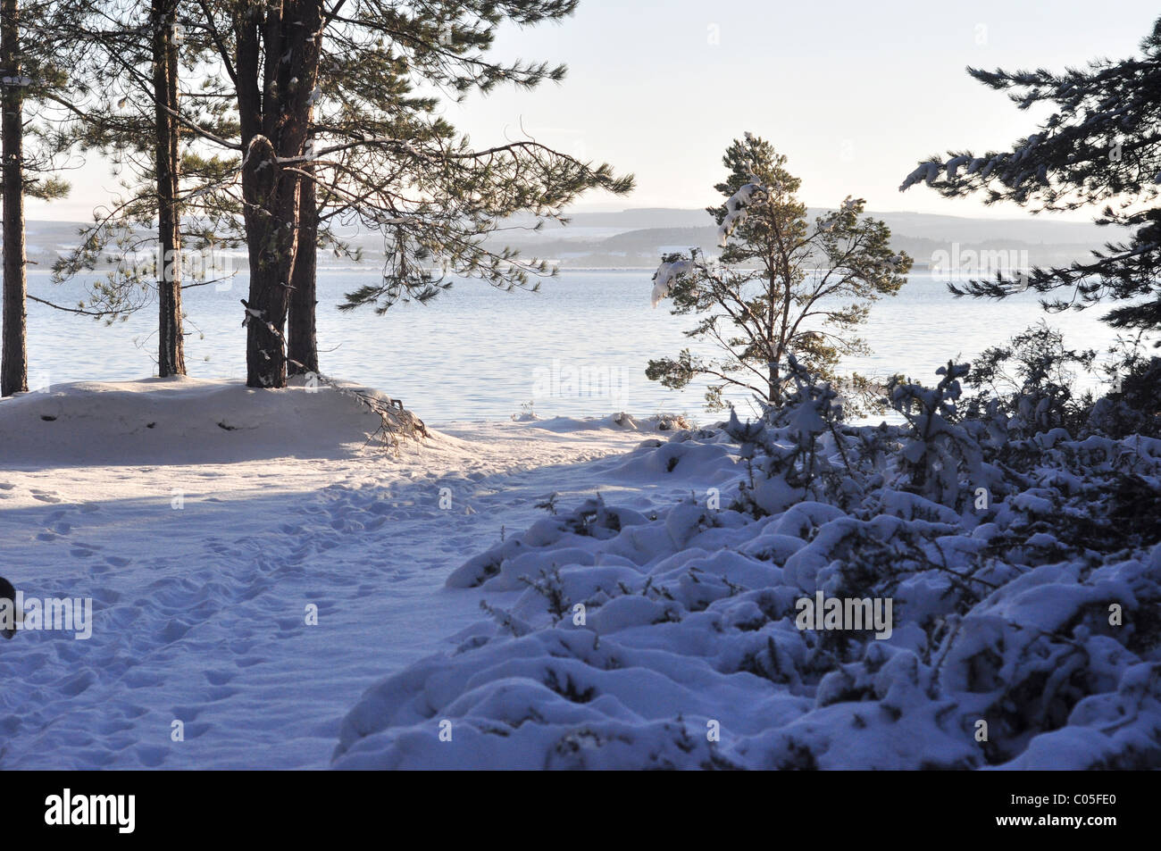 Culbin hi-res stock photography and images - Alamy