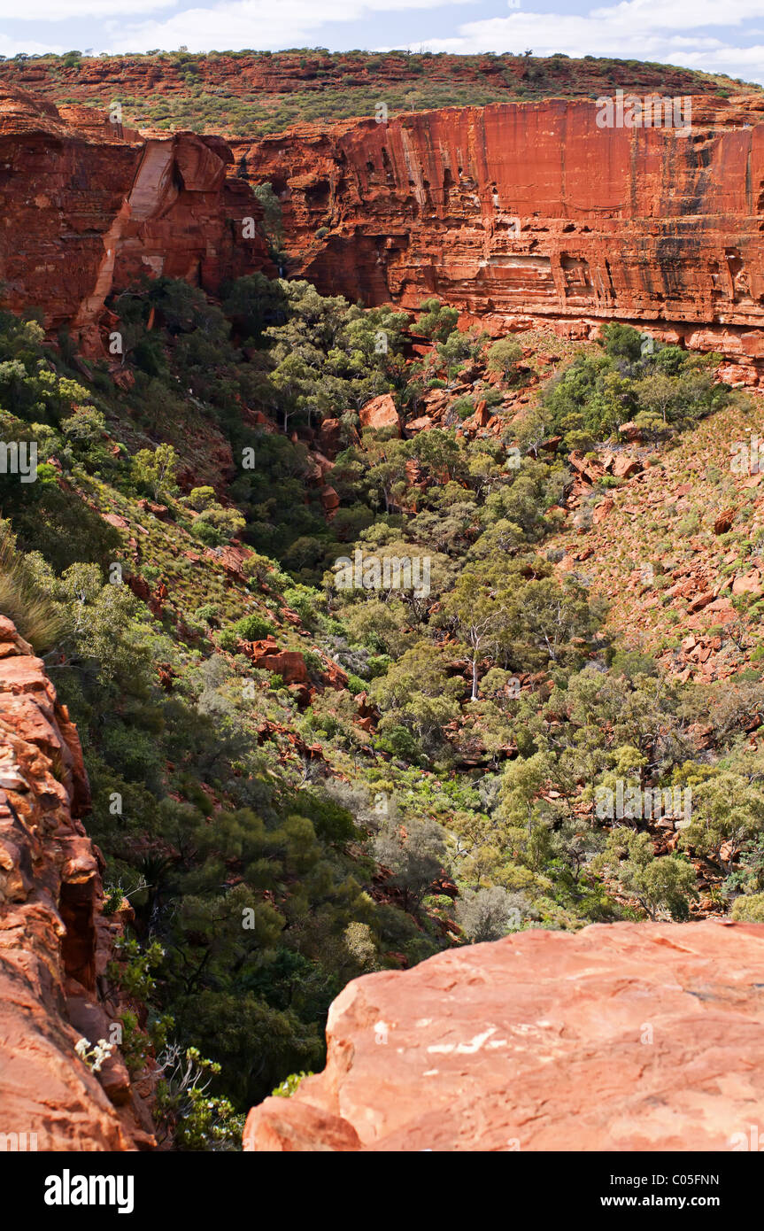 Kings Canyon, Australia Stock Photo - Alamy