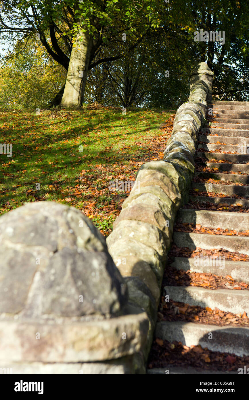 Steps in a park hi-res stock photography and images - Alamy