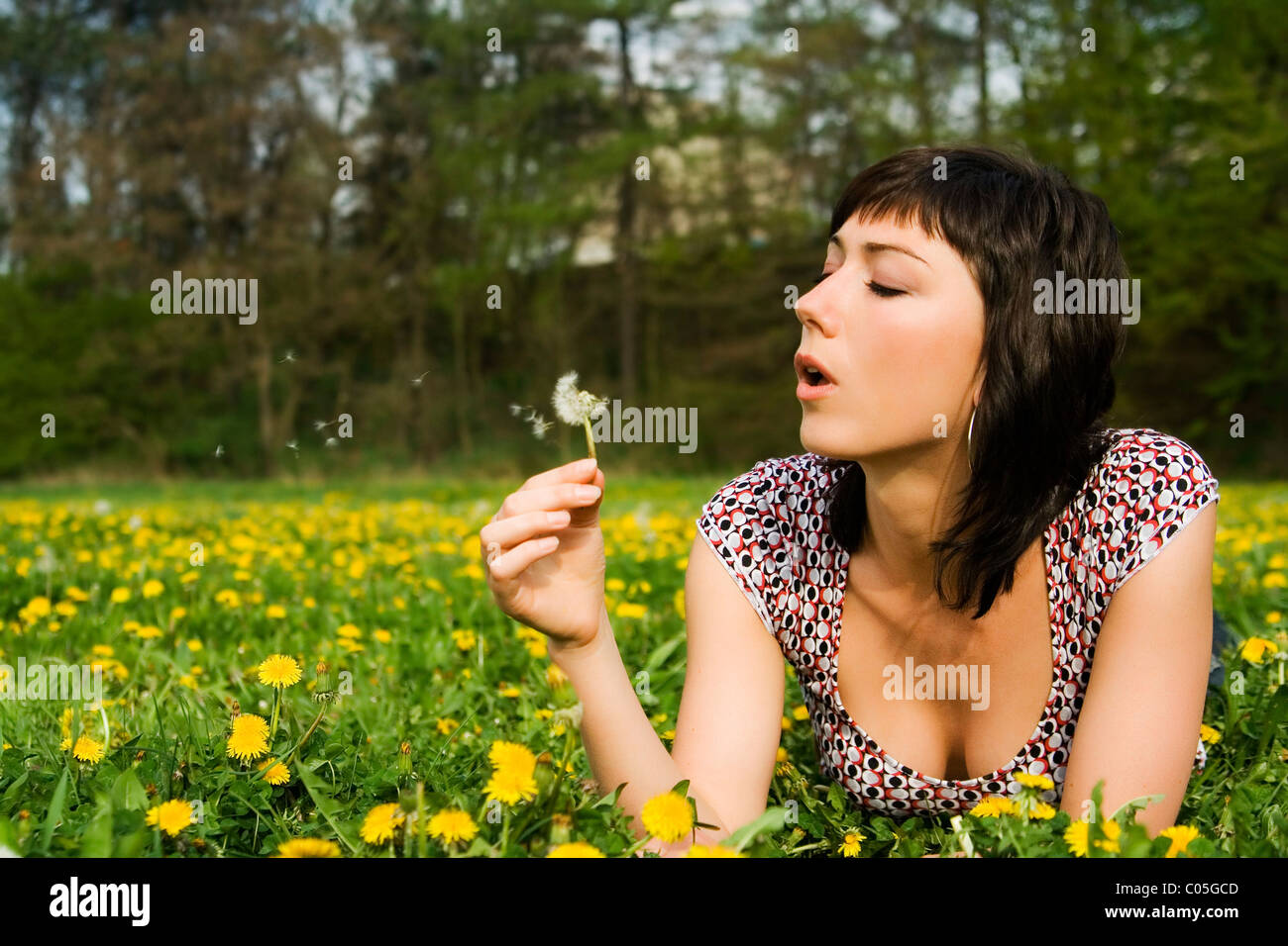 the young woman recumbent in a meadow Stock Photo - Alamy