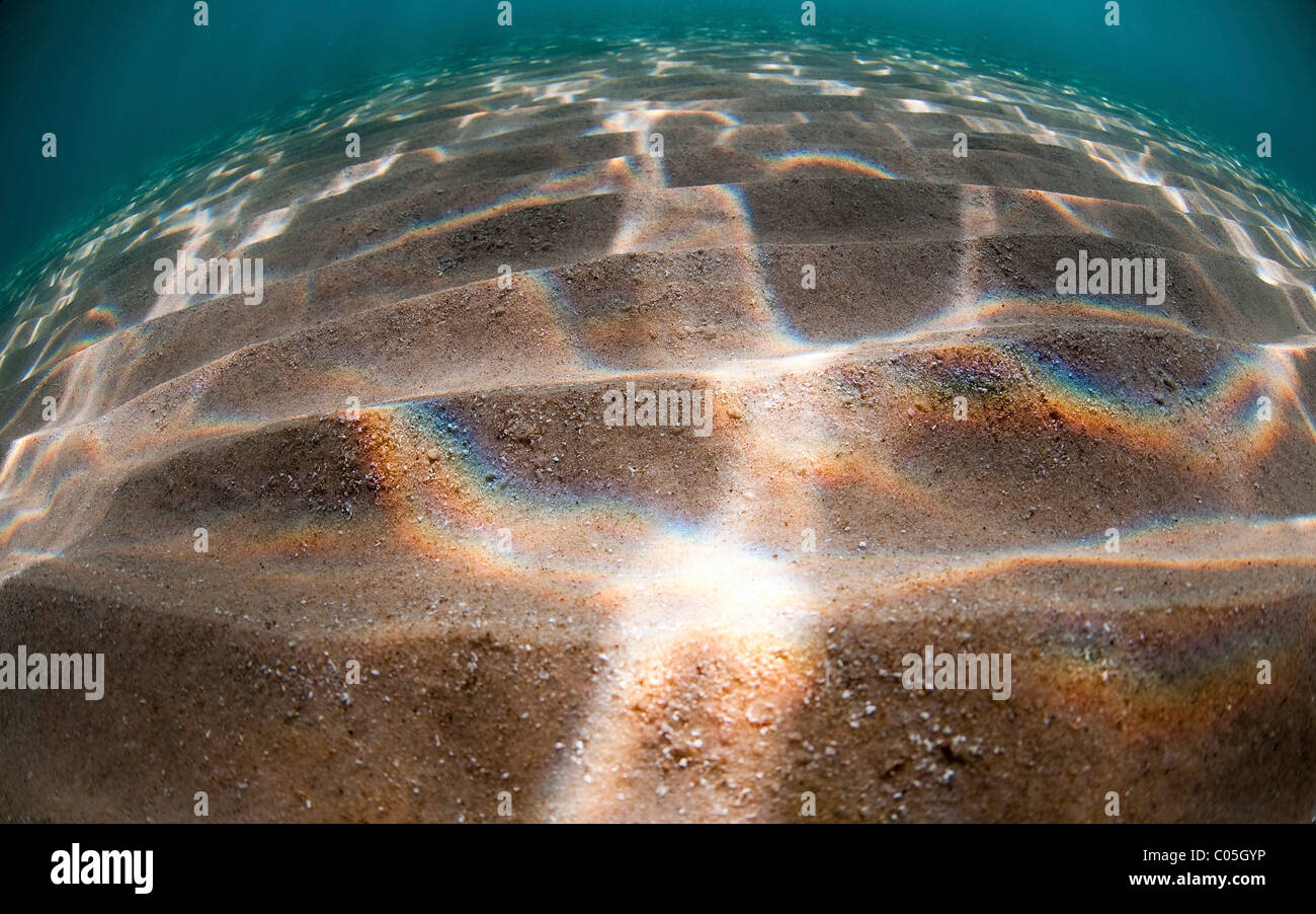 underwater photography of sun light reflecting off the seabed in ...