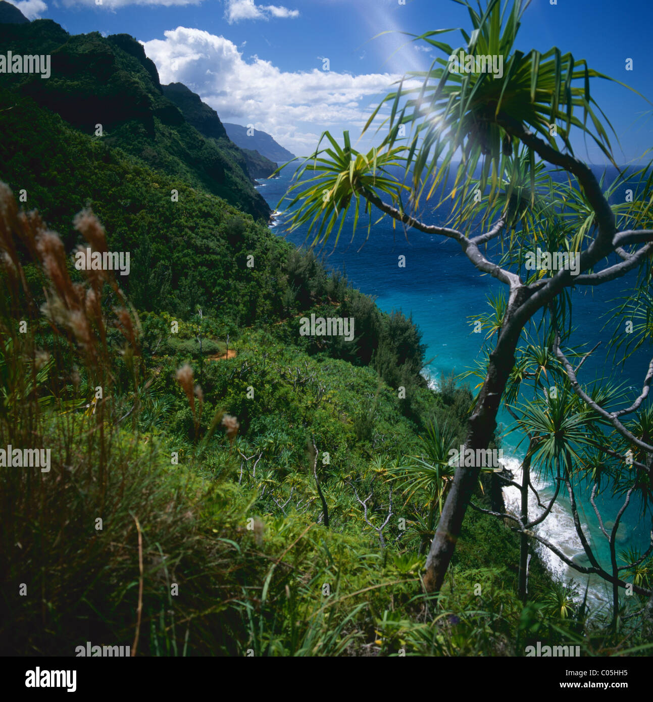 Spectacular cliffs and vegetation of Na Pali coastline, Kauai, Hawaii ...