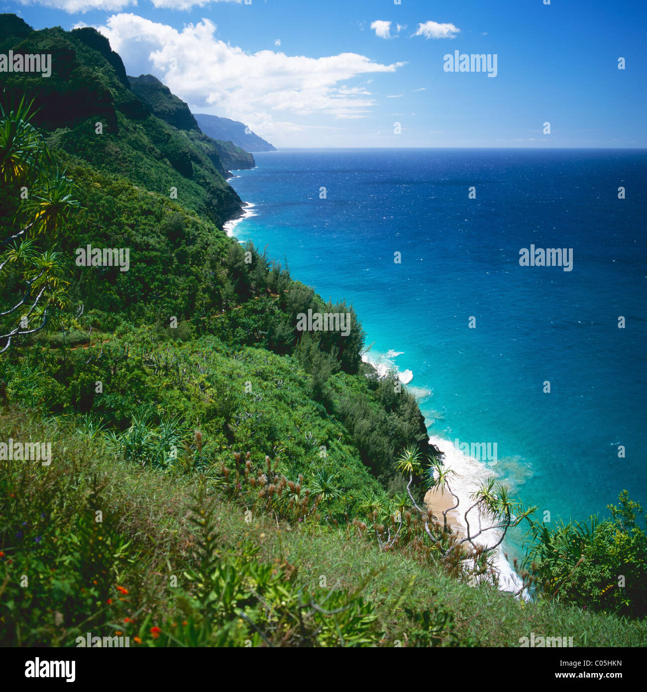 Spectacular Tropical vegetation of Na Pali coastline, Kauai, Hawaii ...