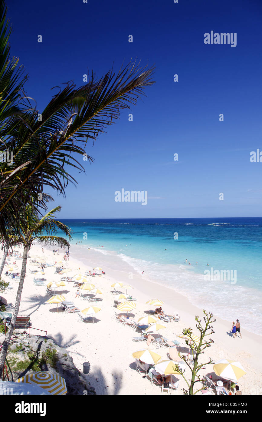 ELBOW BEACH & PALM TREES BERMUDA ISLANDS NORTH ATLANTIC OCEAN ELBOW ...