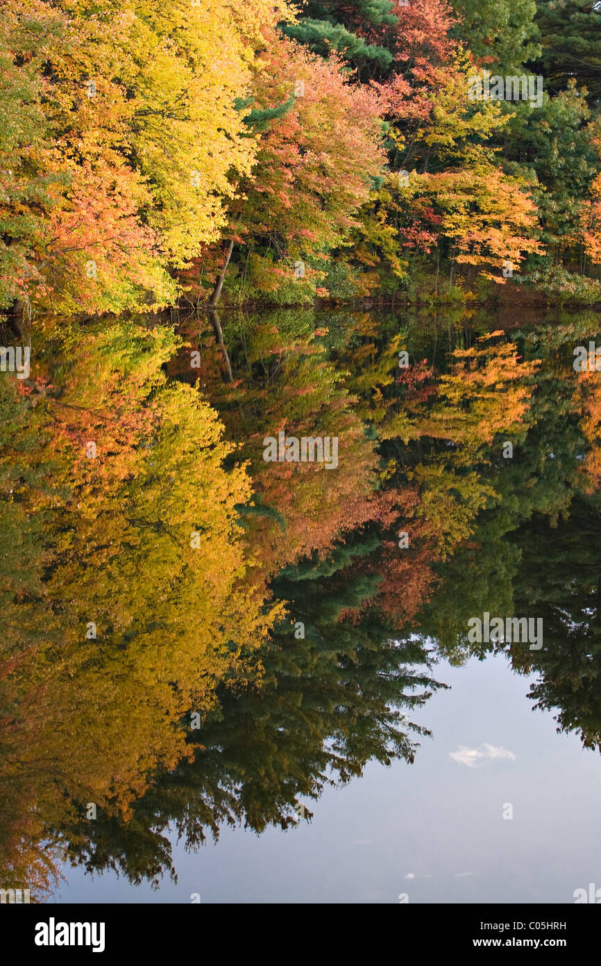 A gorgeous autumn scene with a lake and trees showing the bright colors ...