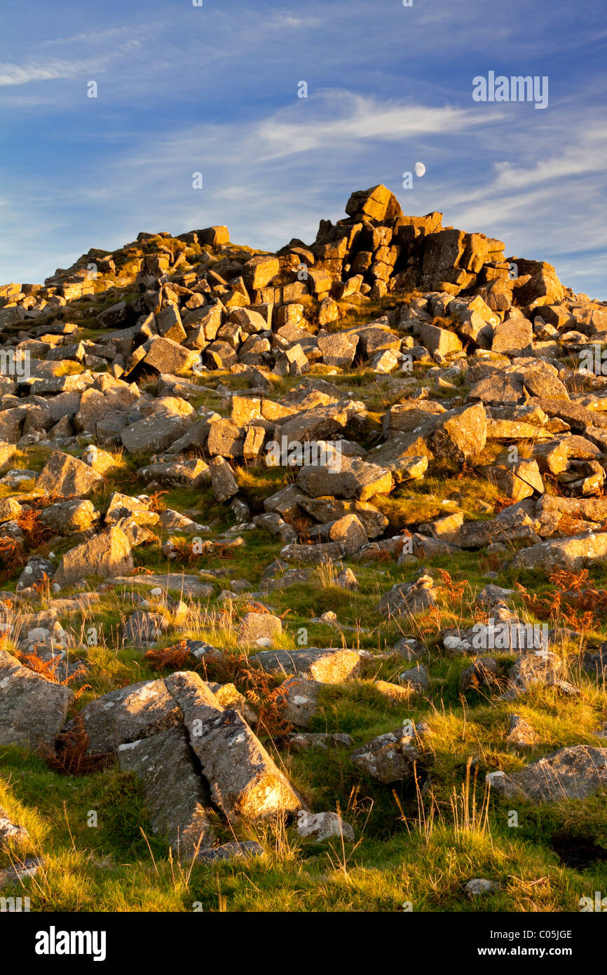 View over rocky tor at Dartmoor in Devon near Dousland in the Dartmoor ...