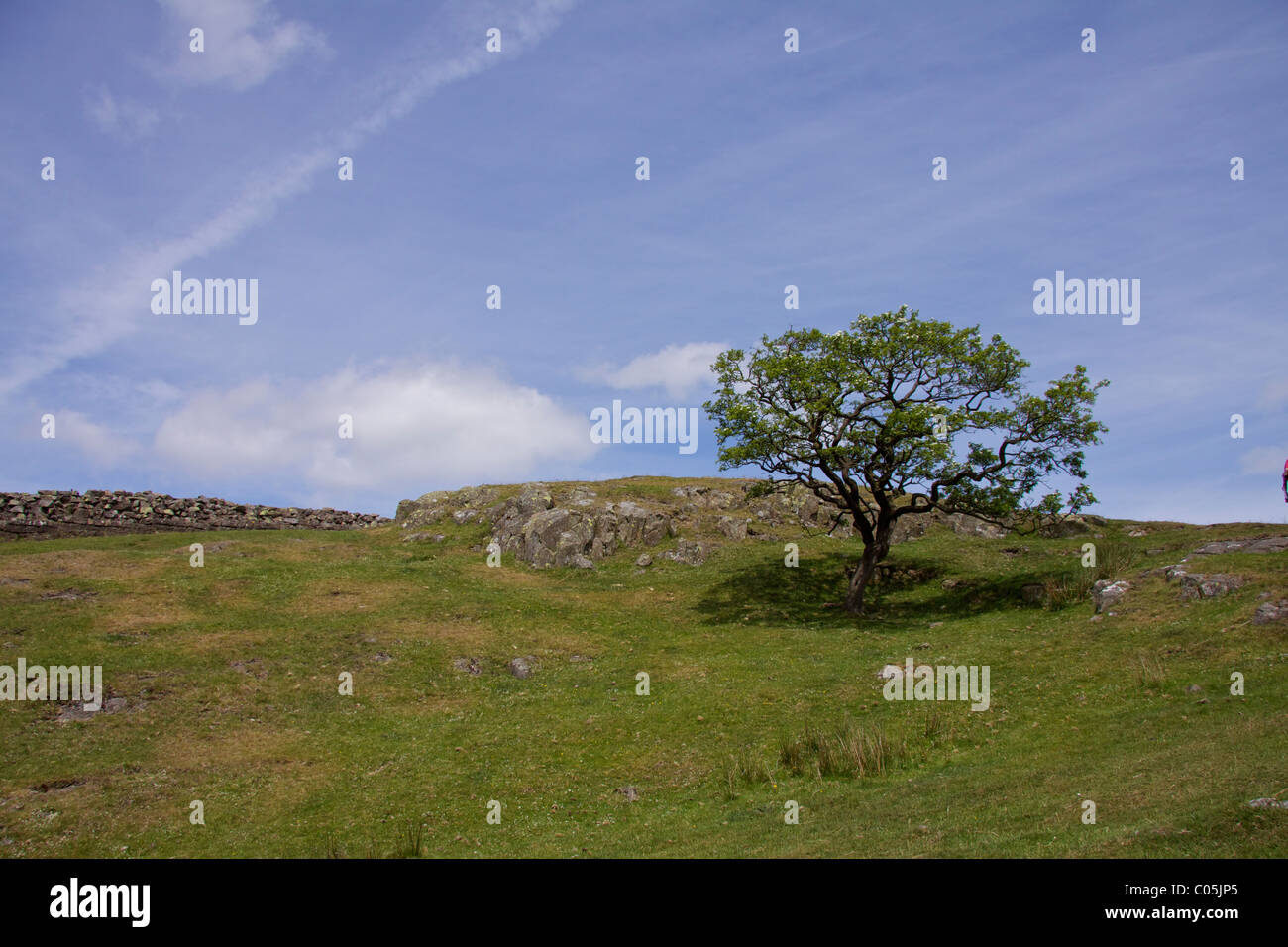 Hadrian's wall northumberland may hi-res stock photography and images ...