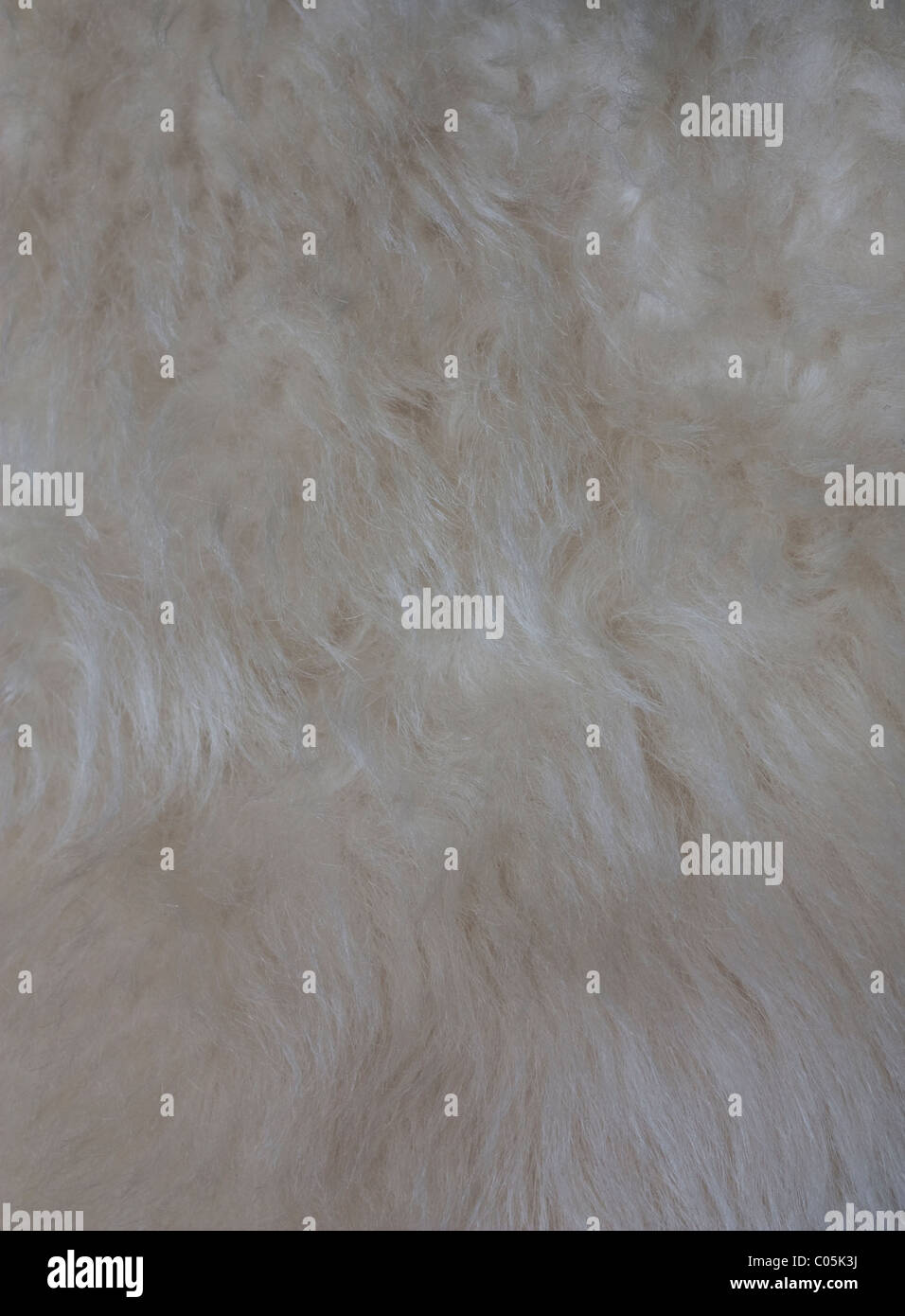 Warm white background hi-res stock photography and images - Alamy