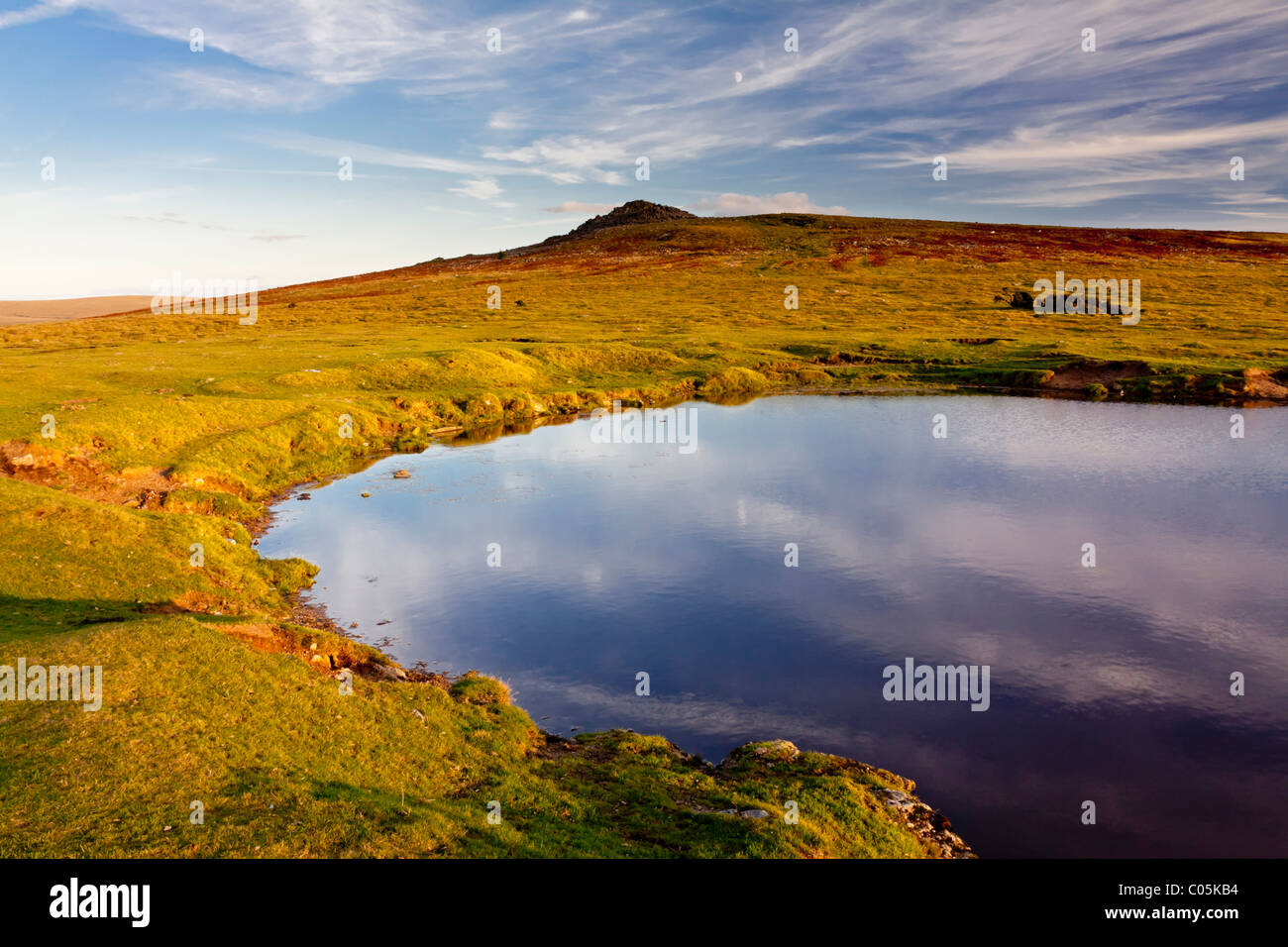 South Pool Devon High Resolution Stock Photography and Images - Alamy