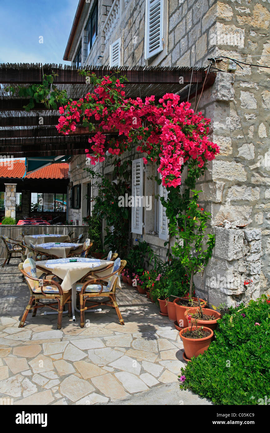 National flower of croatia hi-res stock photography and images - Alamy