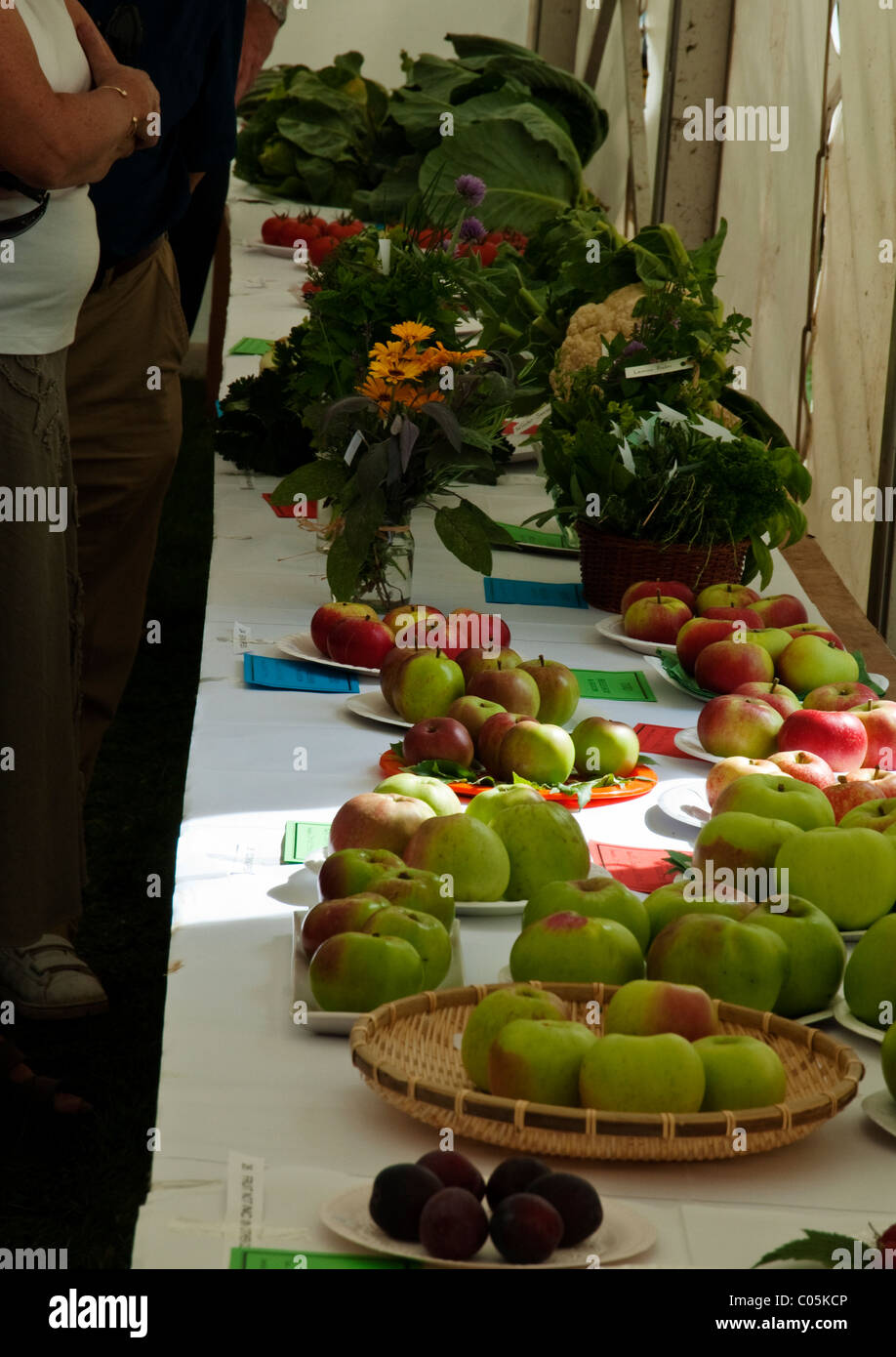 Village horticultural, flower and produce show, Brailes, Warwickshire ...