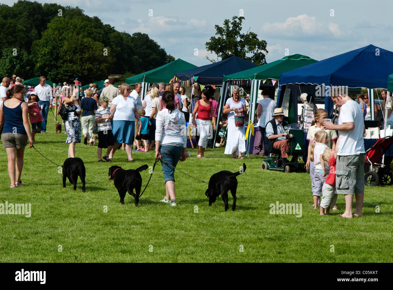 Visitors at a village fete and flower show, Brailes, Warwickshire, England Stock Photo - Alamy