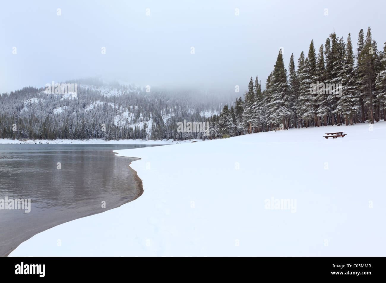 Winter at Mammoth Lakes in Sierra Nevada, California Stock Photo - Alamy
