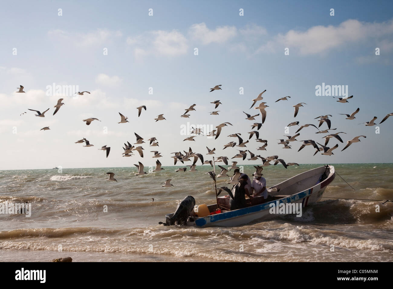 Fishermen in Progreso on the Gold of Mexico, Yucatan, Mexico come to ...