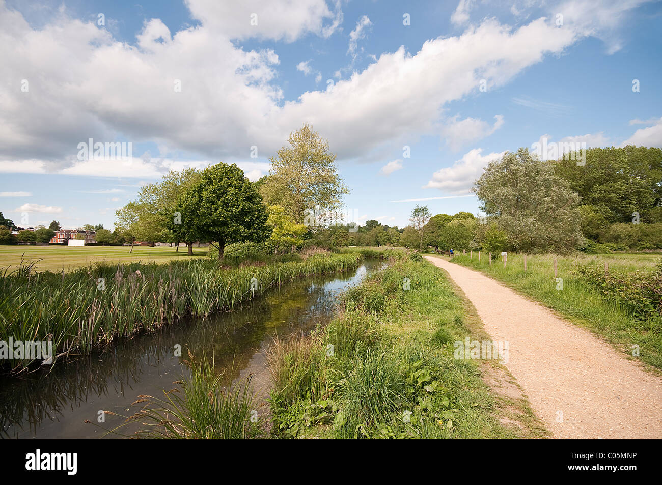 Winchester water meadows hi-res stock photography and images - Alamy