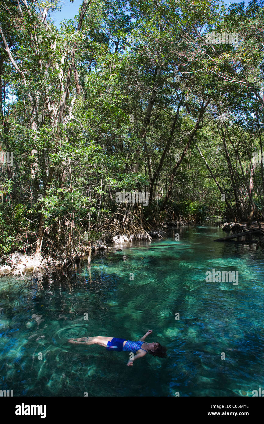 Swimming in the cenote High Resolution Stock Photography and Images - Alamy