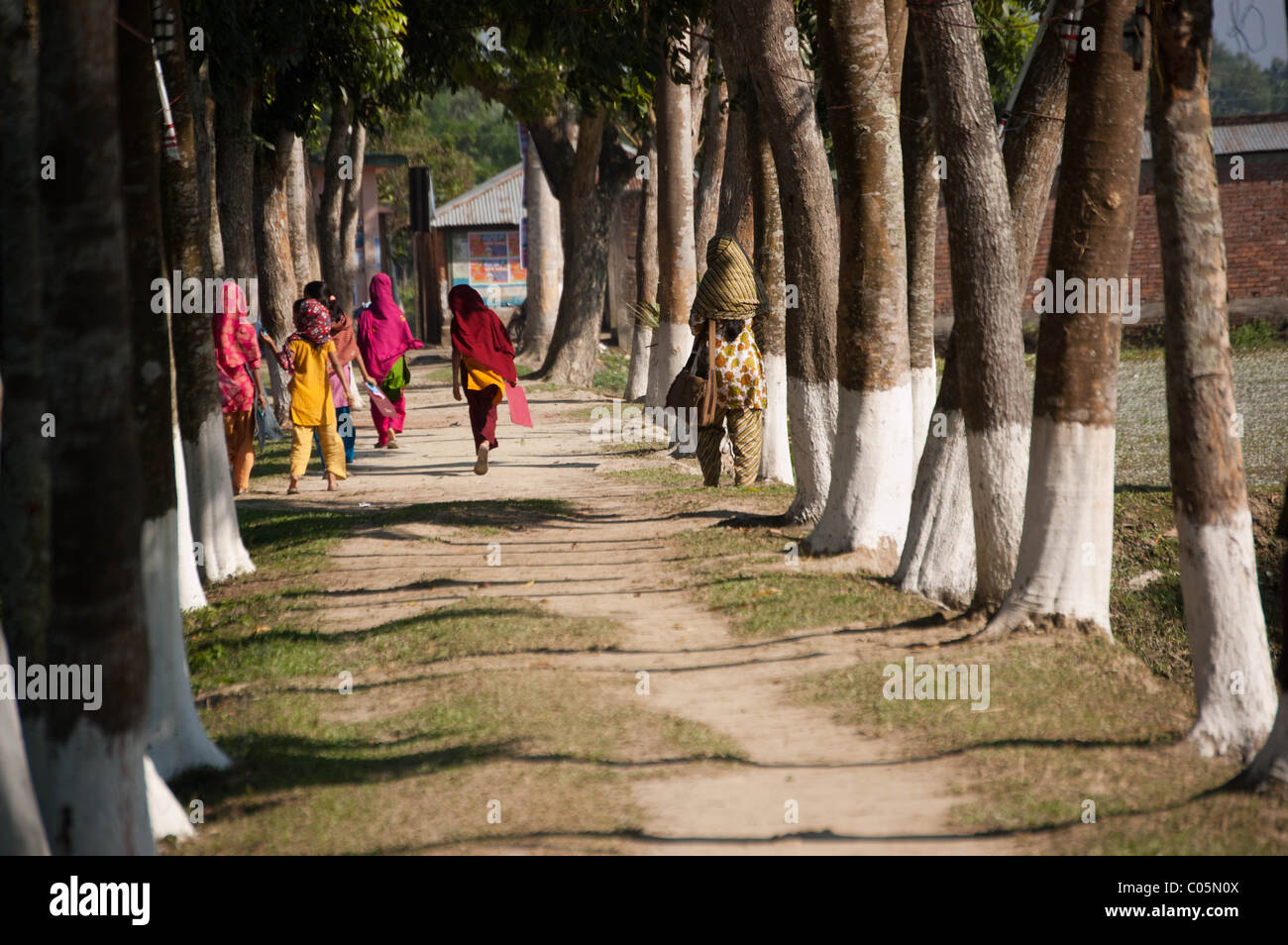 Bangladeshi children running down a tree-lined path Stock Photo - Alamy