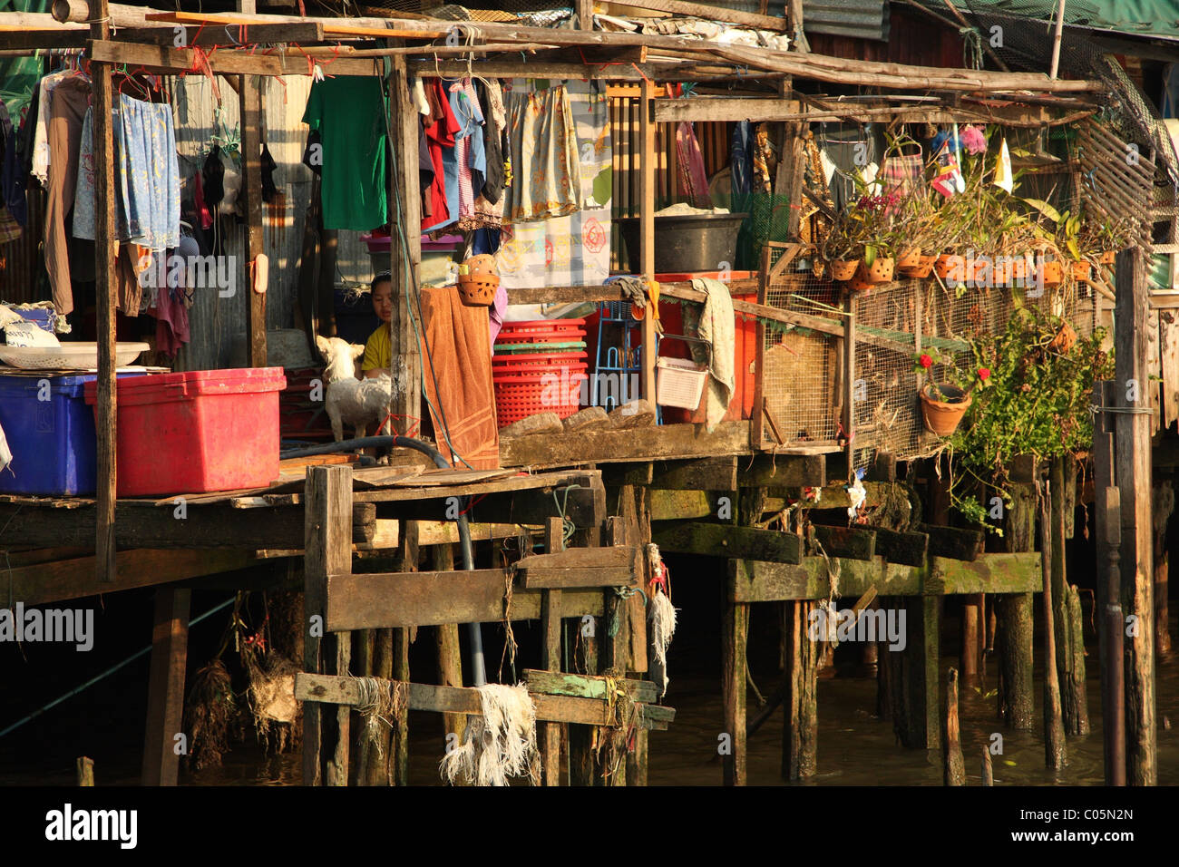 Pilotis in Bangkok Stock Photo - Alamy