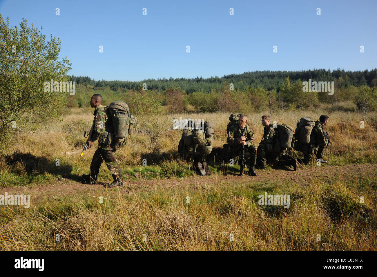 Exercise cambrian patrol hi-res stock photography and images - Alamy