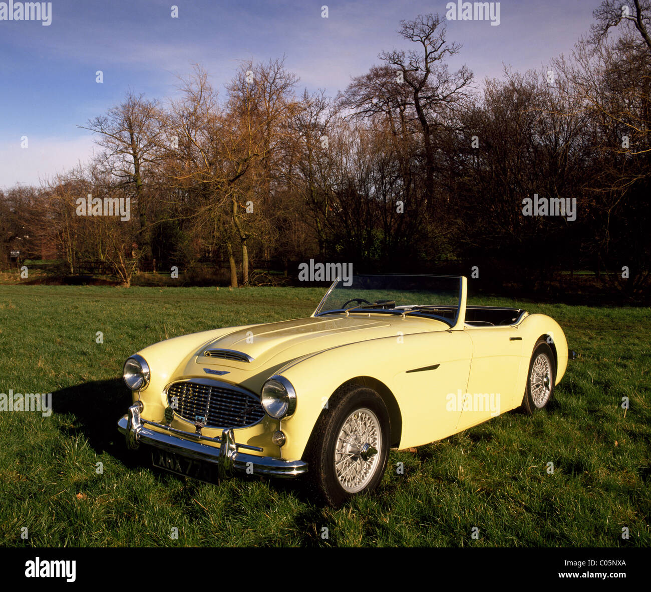 1957 austin healey hi-res stock photography and images - Alamy