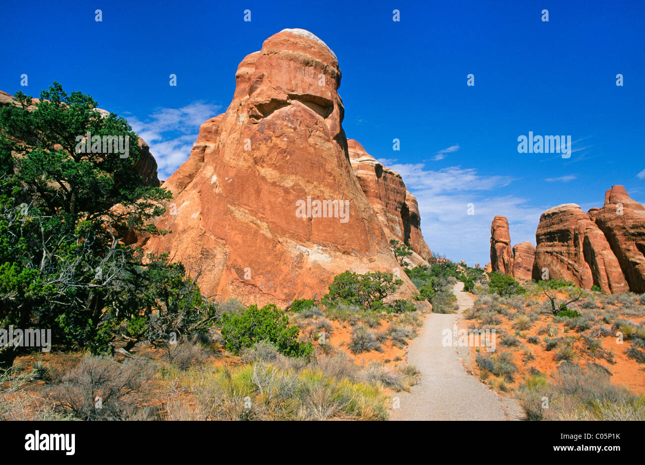 Sandstone monoliths in Arches National Park, Utah Stock Photo - Alamy