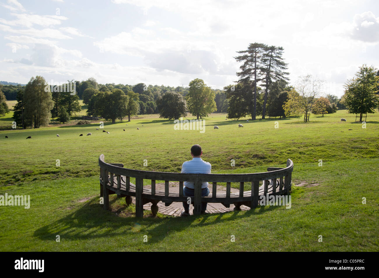 man on bench facing away from camera Stock Photo - Alamy