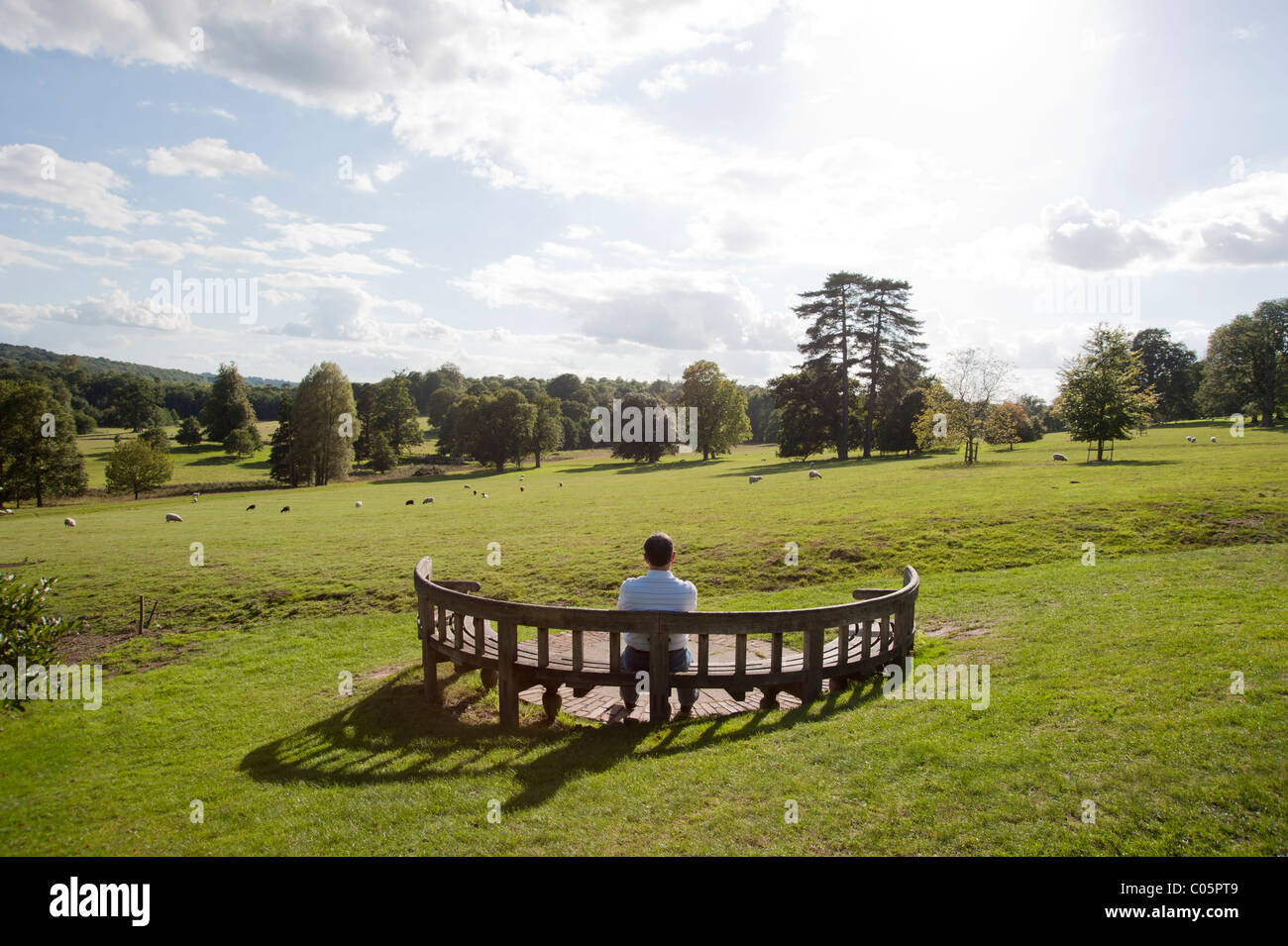 Man Facing Away From Camera High Resolution Stock Photography and ...