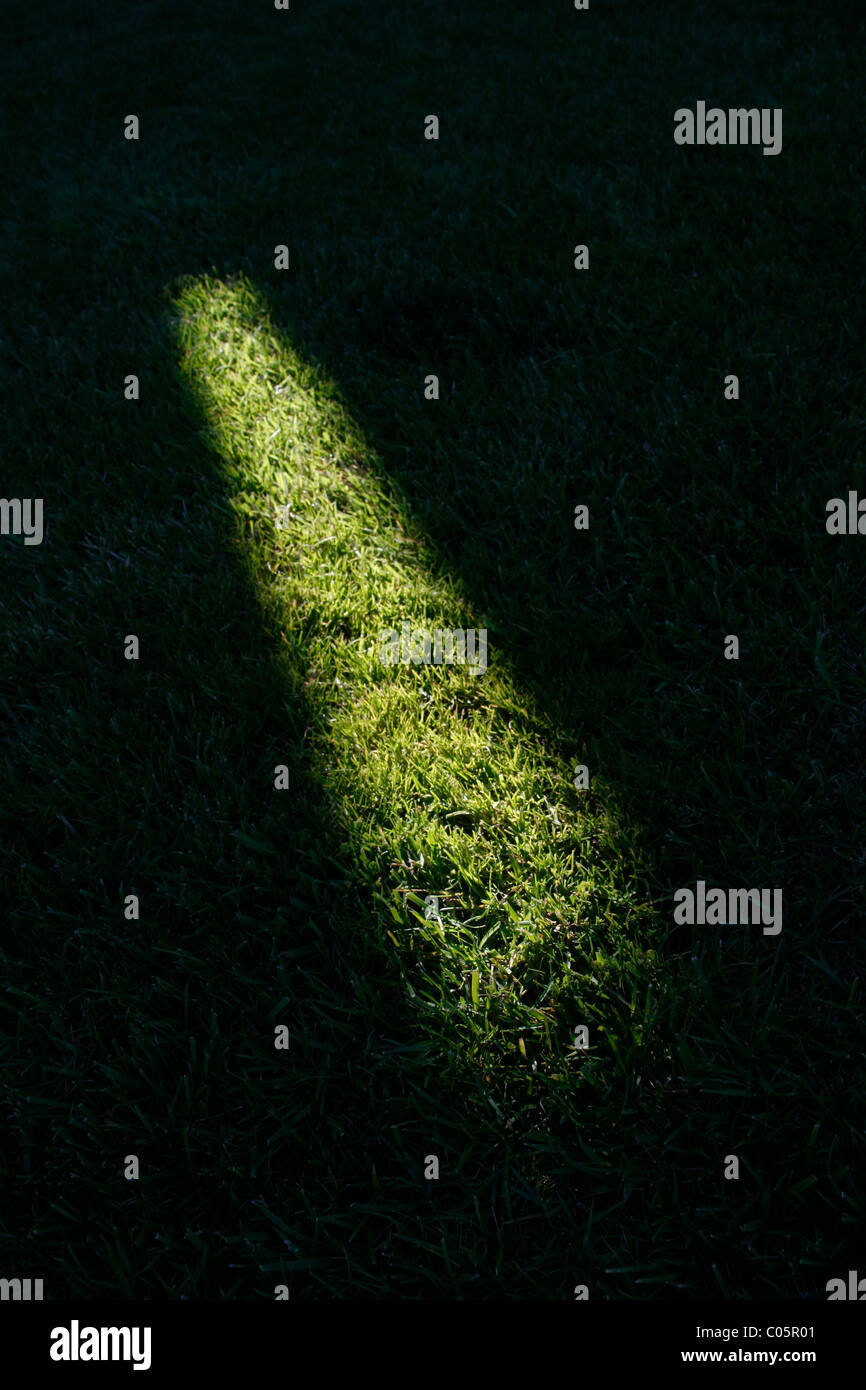 Beam one ray light dark grass hi-res stock photography and images - Alamy
