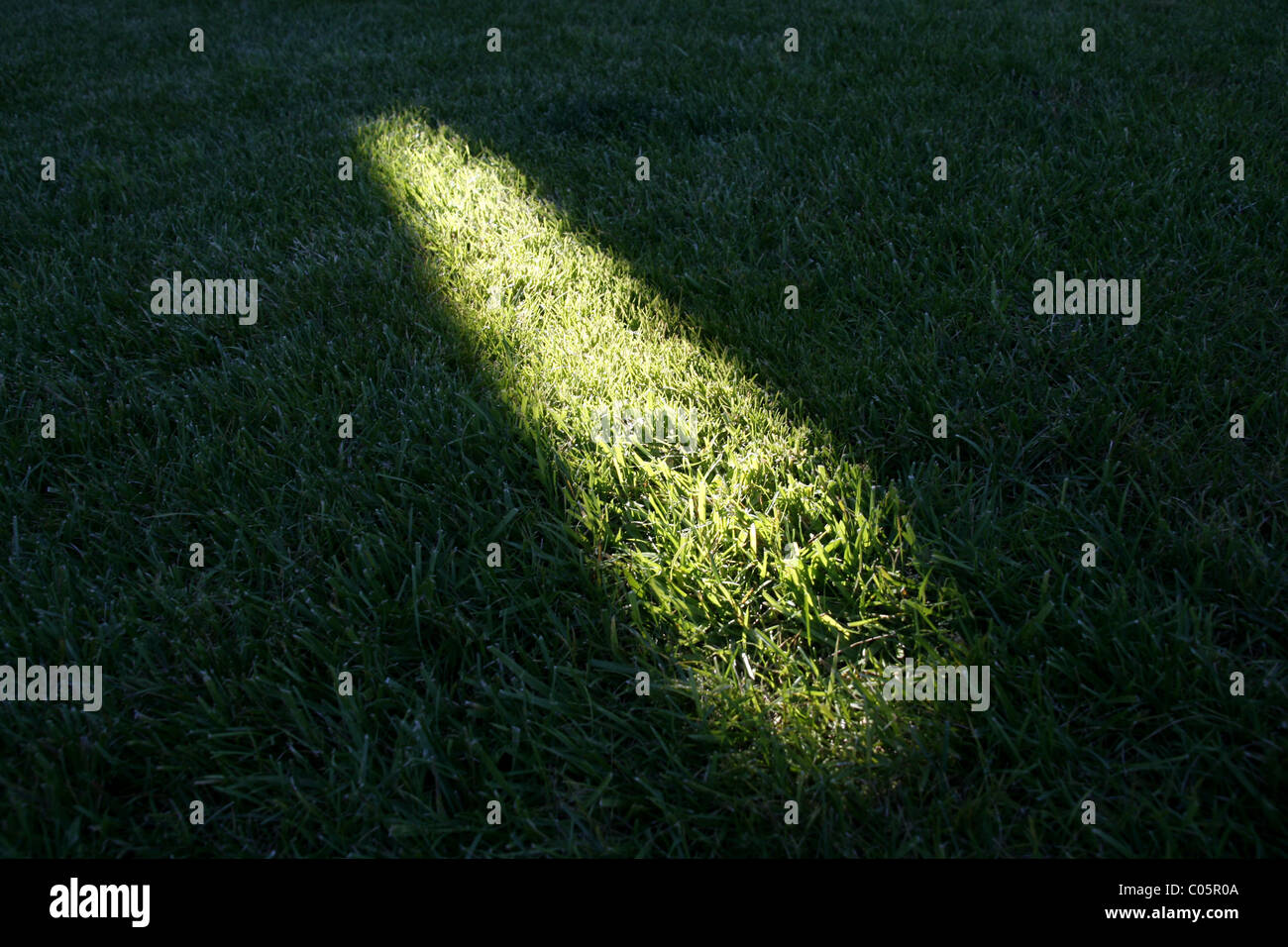 Beam one ray light dark grass hi-res stock photography and images - Alamy