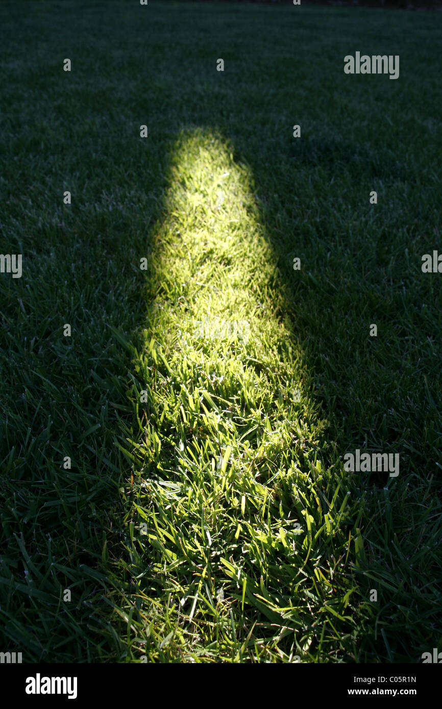sun beam ray light on garden lawn grass Stock Photo - Alamy