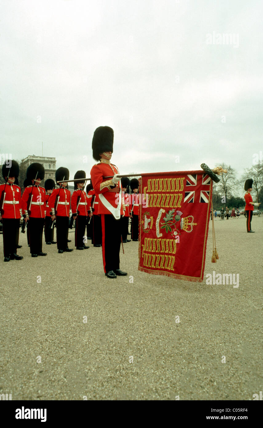 Scots Guards trooping the colour in Horse Guards Parade Stock Photo - Alamy