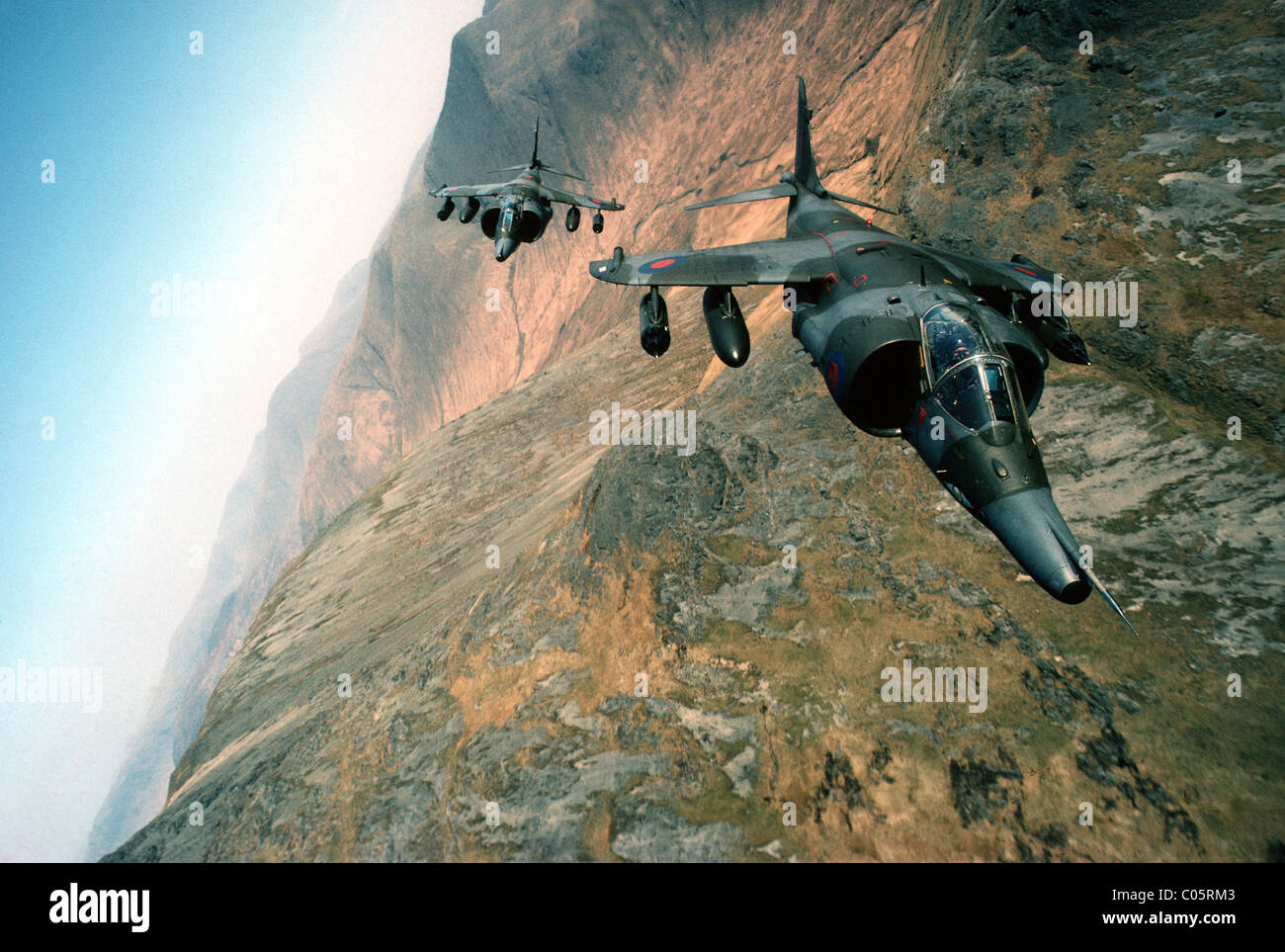 Harriers all hi-res stock photography and images - Alamy