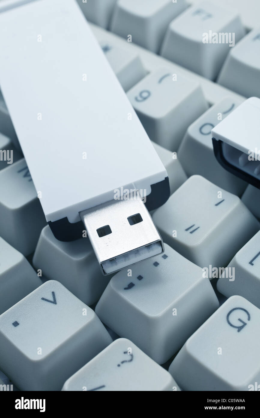 White USB Disk close up Stock Photo - Alamy