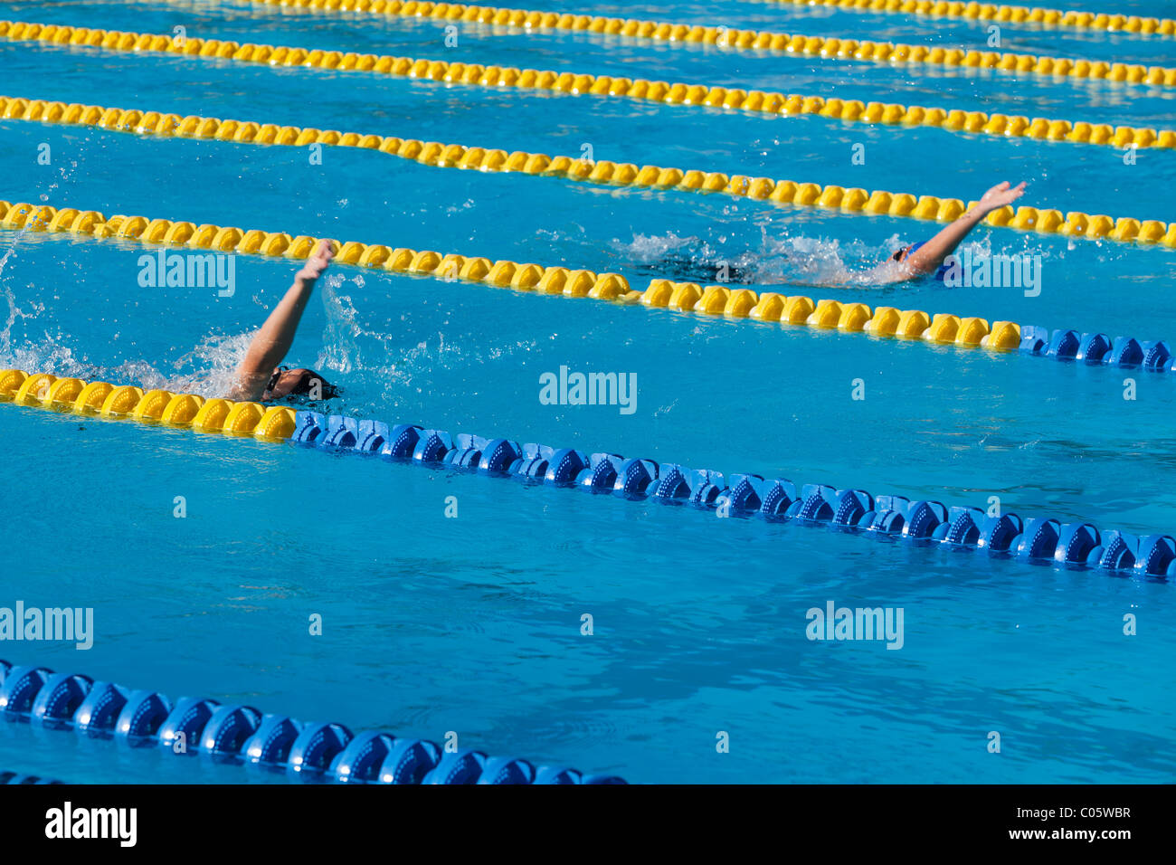 Two boys swimming backstroke style in swimming pool Stock Photo - Alamy