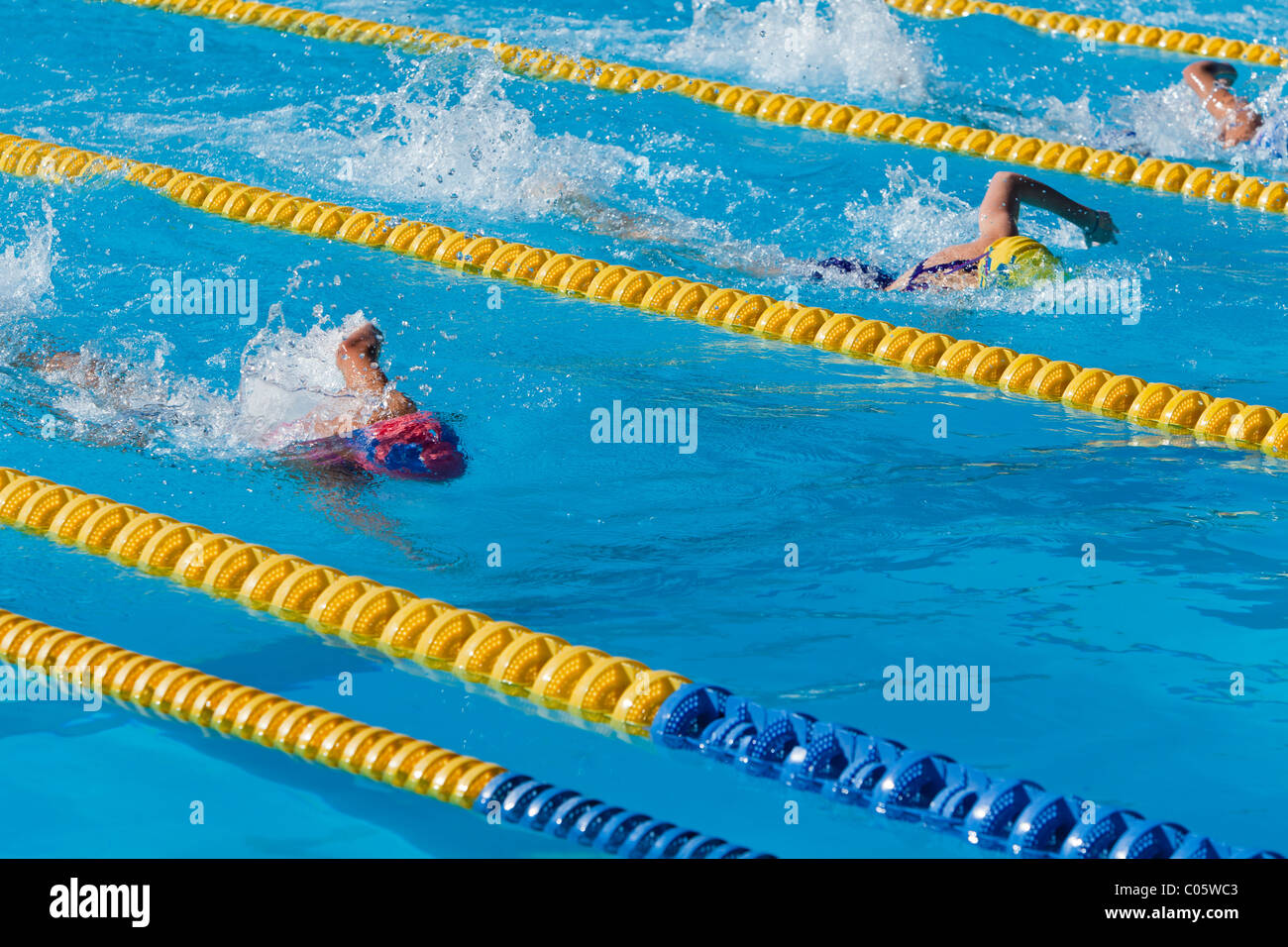 Girls swimming freestyle in swimming pool Stock Photo - Alamy