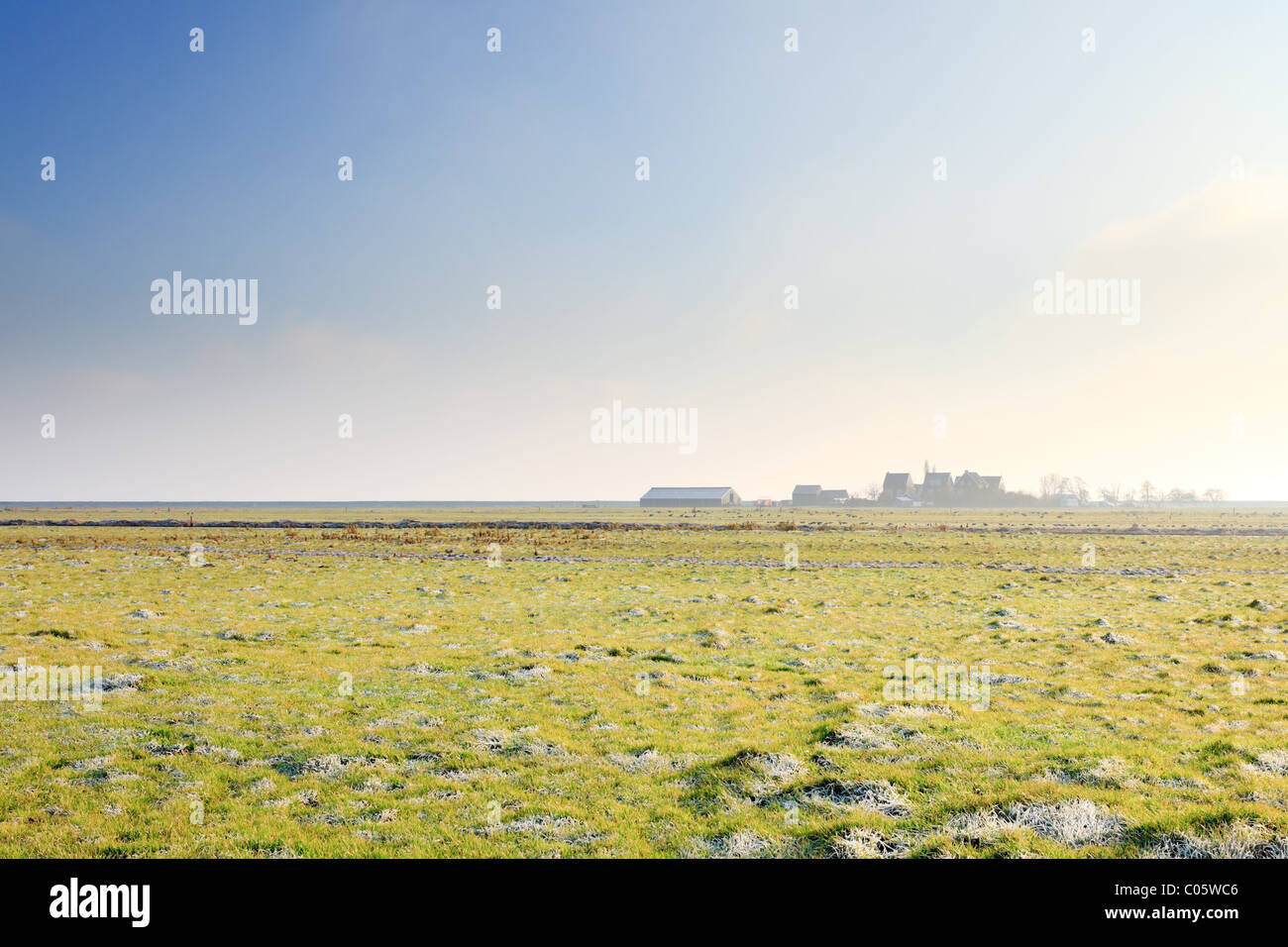Dutch farmland in winter. Clear day. Blue sky Stock Photo - Alamy