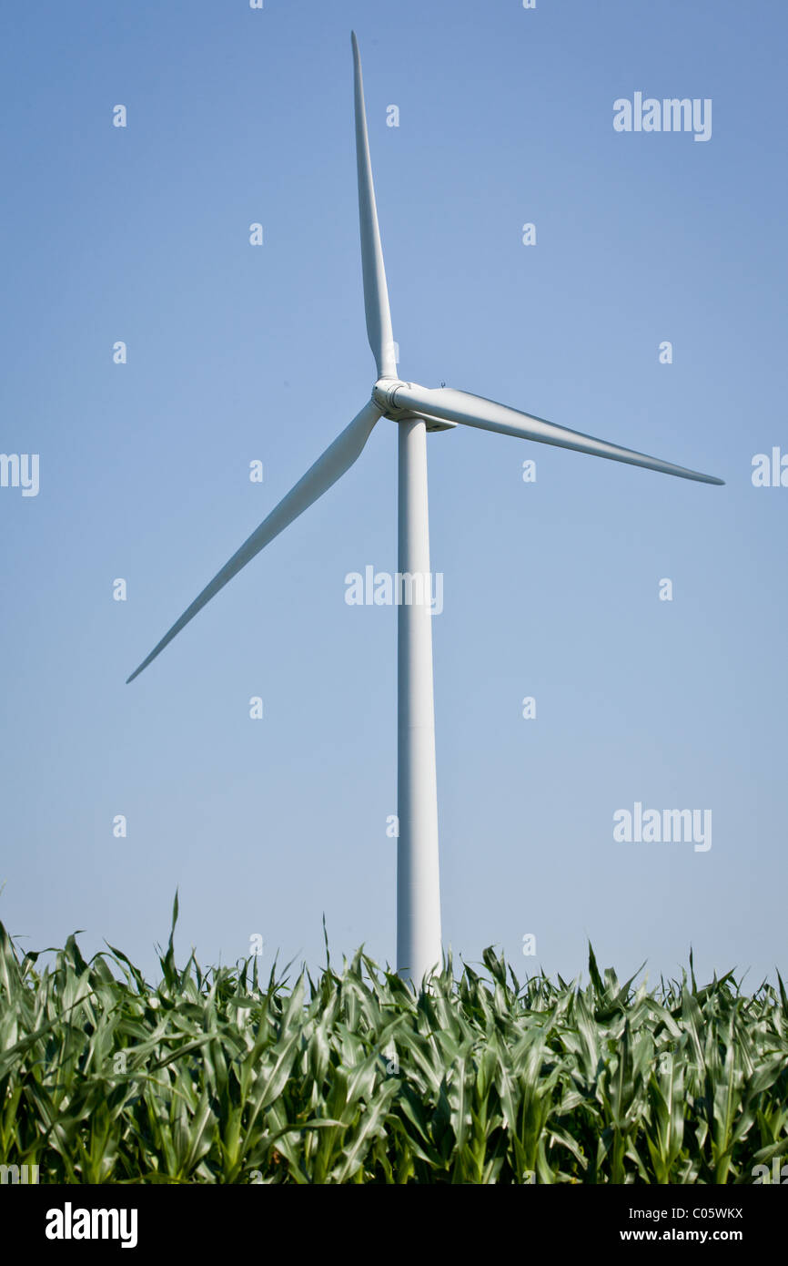 Wind turbine in corn field hi-res stock photography and images - Alamy